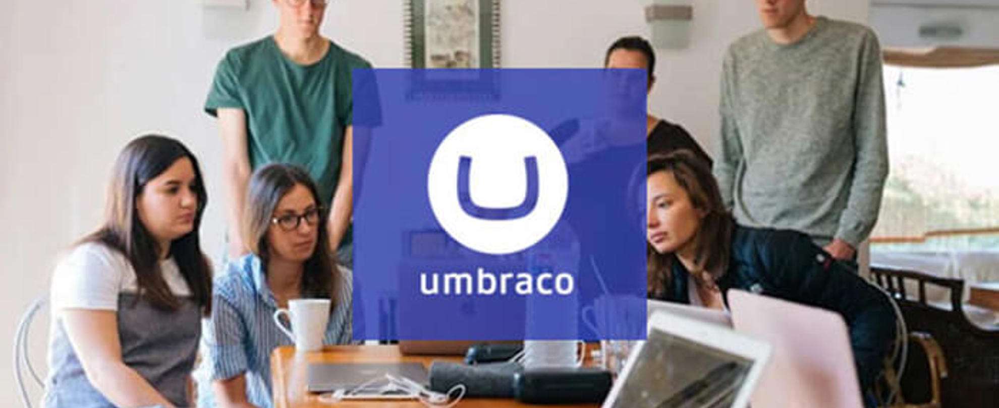 Why Charities opt for Umbraco as a CMS platform | Element78 - Bristol Umbraco Agency | Element78